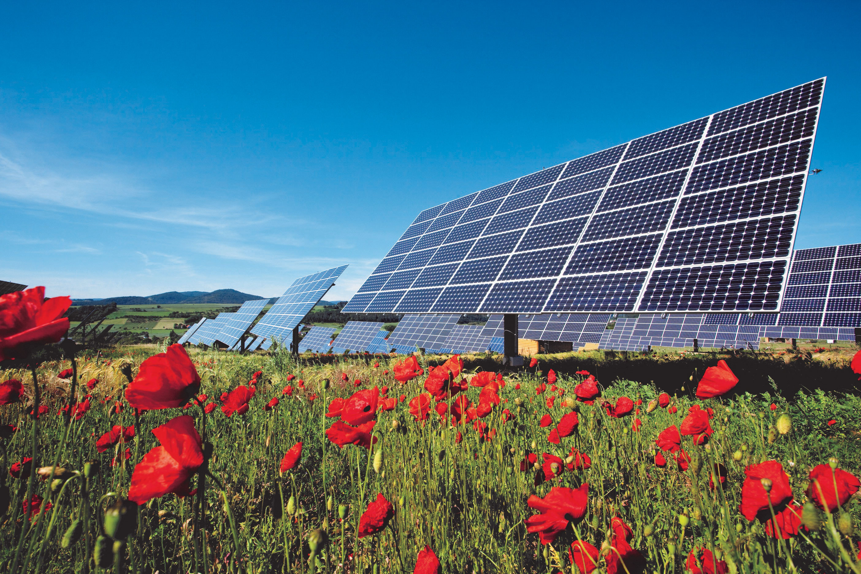 Distributeur de tracker solaire intelligent DEGER Energie